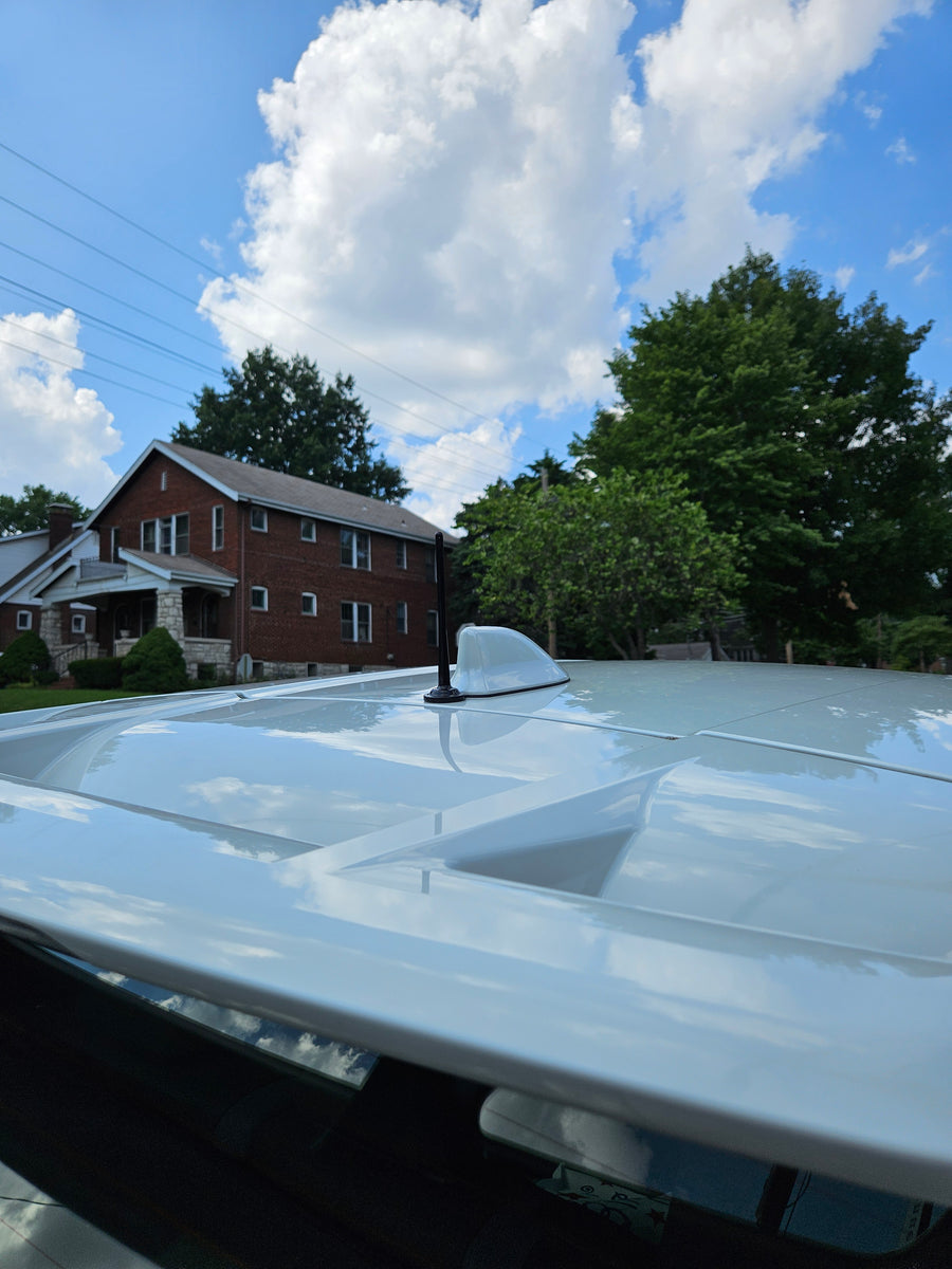 Coolballs Magnetic Car, Truck, SUV Antenna Topper Display Stand "Car M ...