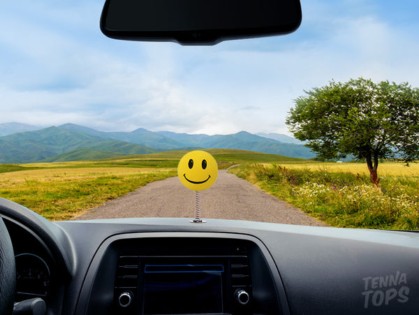 ...HappyBalls Happy Smiley Face Car Antenna Topper / Auto Dashboard Bu ...